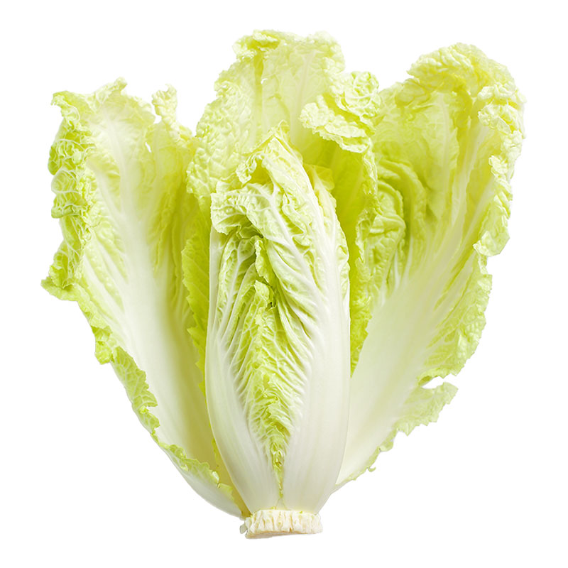Leaf Chinese Cabbage Pack 500 g | Makro PRO