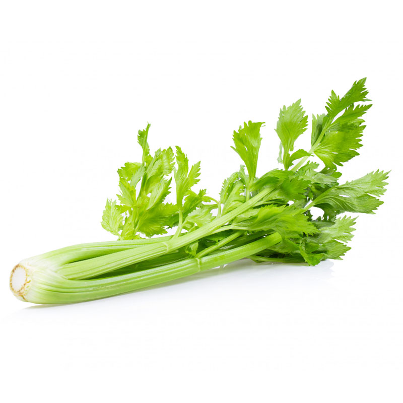 Thai Celery Pack 1 Kg | Makro PRO
