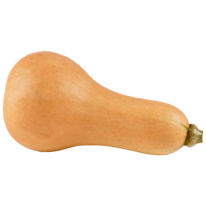Taiwan Butternut Squash 1 kg | Makro PRO