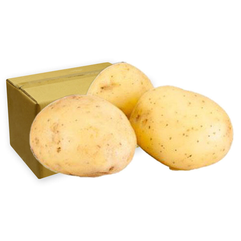 Imported Potato 1 carton 10 kg | Makro PRO