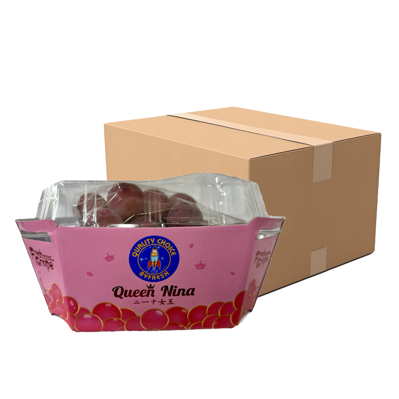 QUEEN NINA GRAPE PACK-CASE | Makro PRO