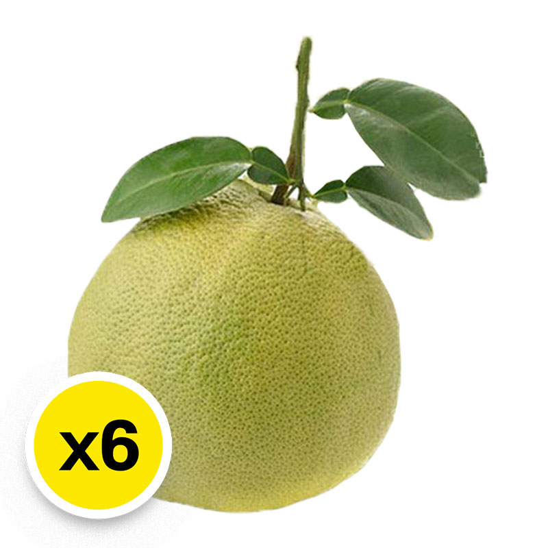 Kao Numpuang Pomelo 6 pcs | Makro PRO