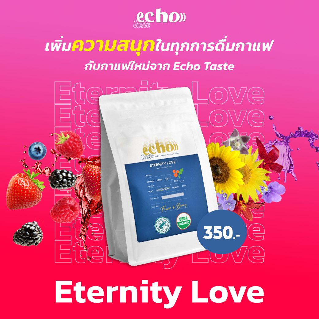Echo Taste เมล็ดกาแฟคั่ว Eternity Love อะราบิก้า 100 % คั่วอ่อน-กลาง 200 กรัม (เมล็ด) | Makro PRO