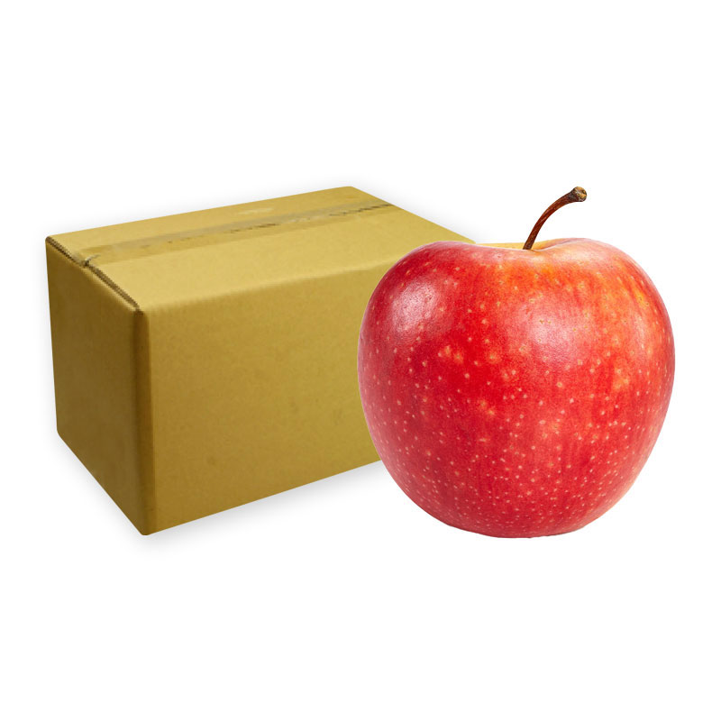 Aomori Sun Fuji Apple no.75 carton | Makro PRO