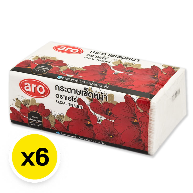 ARO Soft 2-Ply Facial Tissues 170 sheets x 6 | Makro PRO