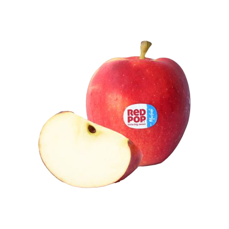 RED POP APPLE#125 - PIECE | Makro PRO