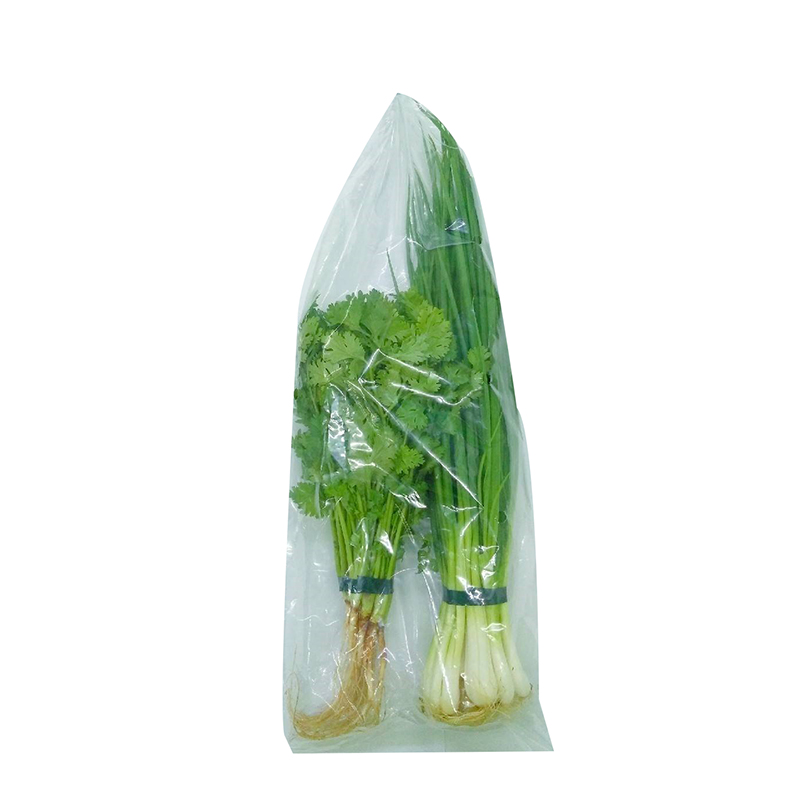 SPRING ONION+CORIANDER 300 G PACK | Makro PRO