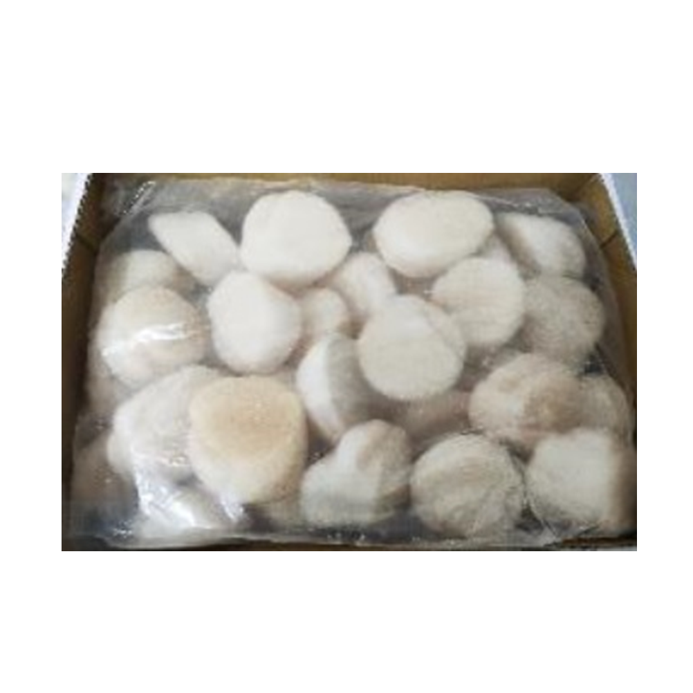 HOKKAIDO SCALLOP 2S (36-40PCS) SASHIMI GRADE (1Kg/Pack) (Delivery in Bangkok Metropolitan Area ...