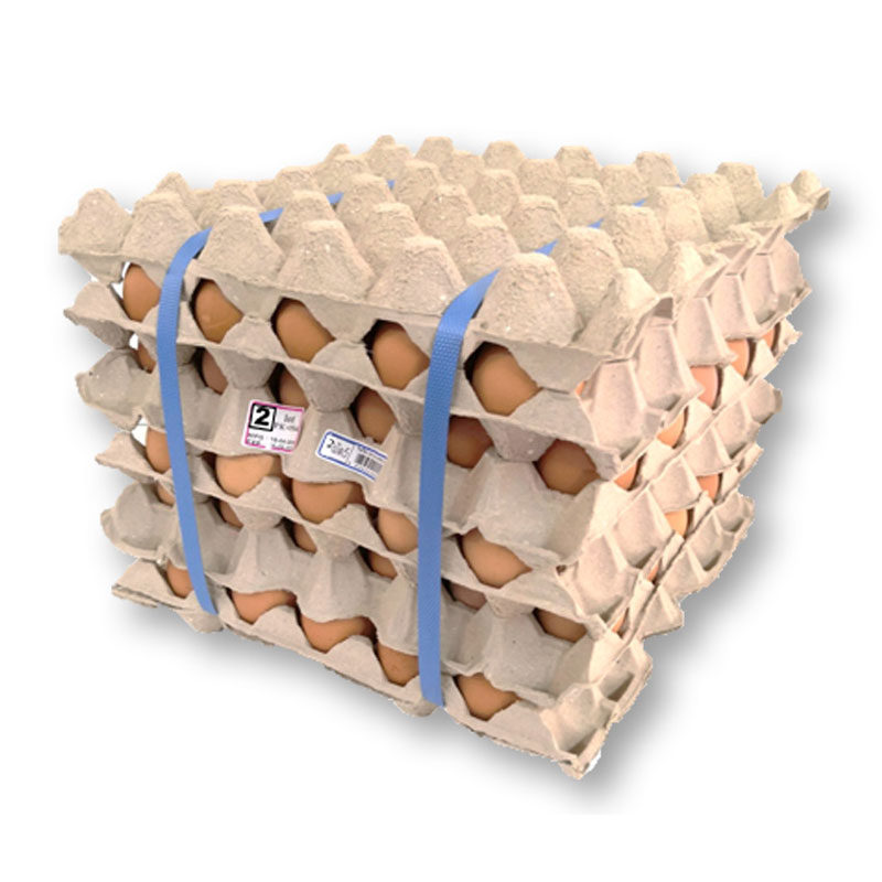 ARO Chicken Egg no.2 No Cover 30 pcs x 5 | Makro PRO