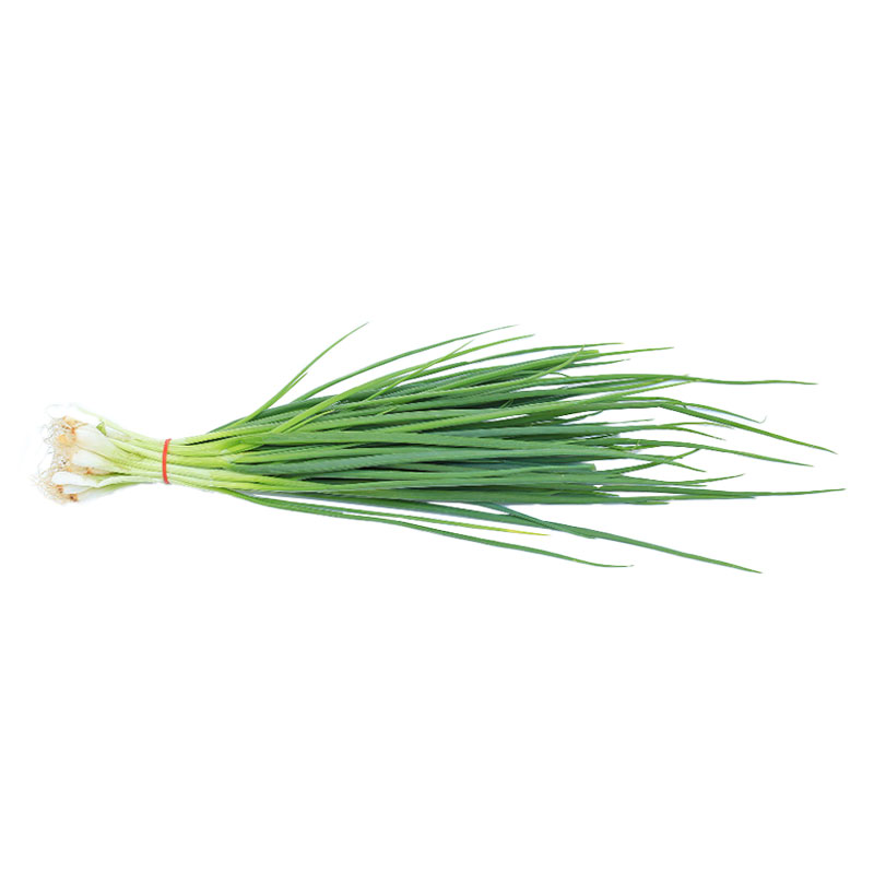Spring Onion Pack 1 Kg | Makro PRO