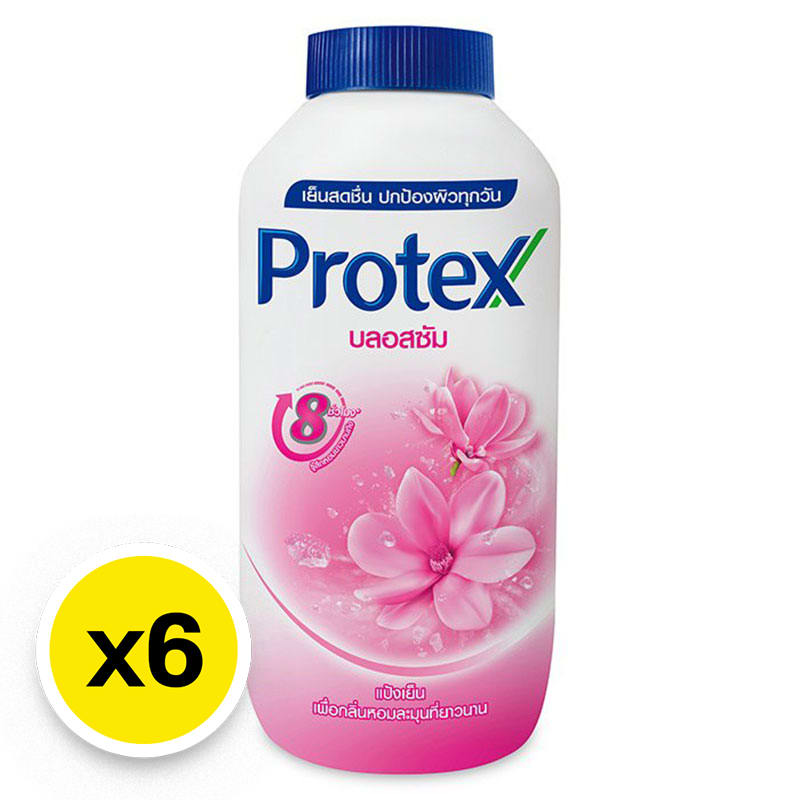 PROTEX Talcum Pink 140 g x 6 | Makro PRO
