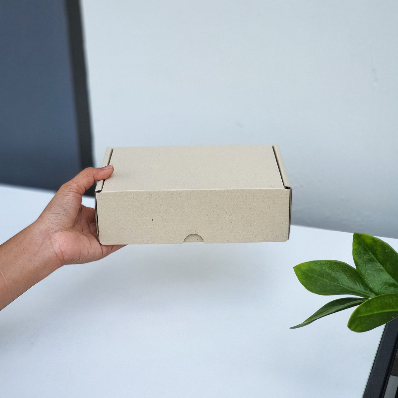 GoodBoxPack กล่องลูกฟูกคราฟท์ ไซส์ S แพ็ค10ใบ | Makro PRO