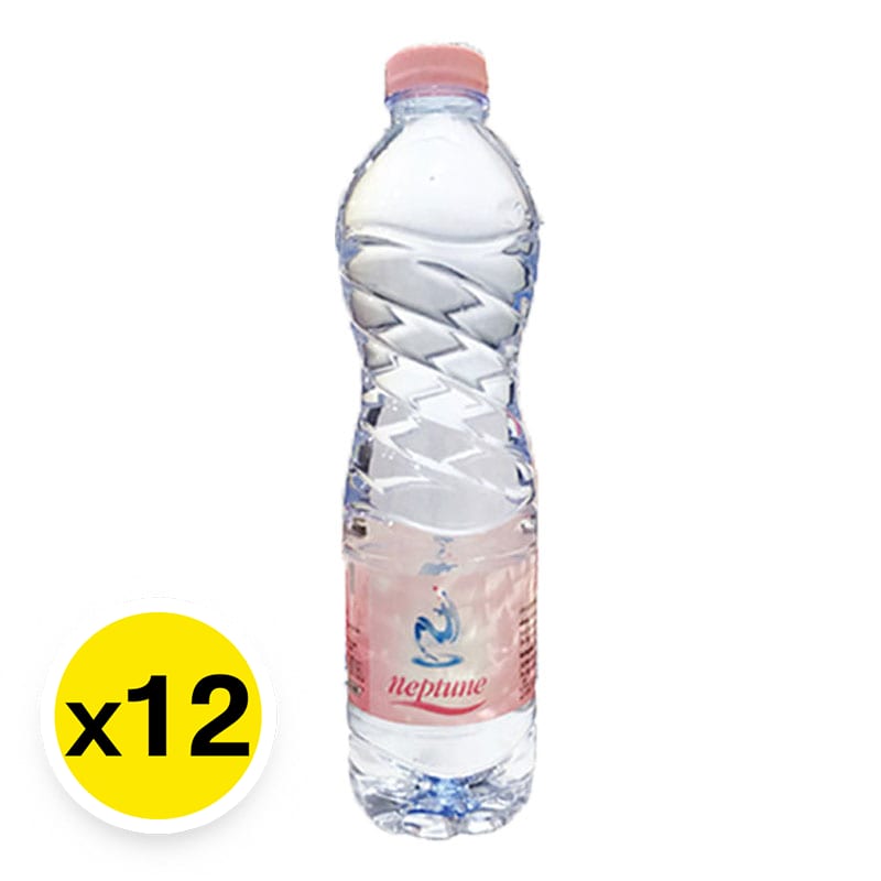 NEPTUNE Drinking Water 600 ml x 12 | Makro PRO