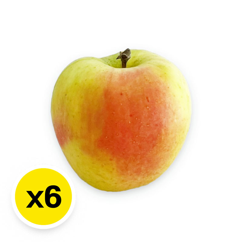 Meigetsu Apple No.72 Pack 6 pcs | Makro PRO