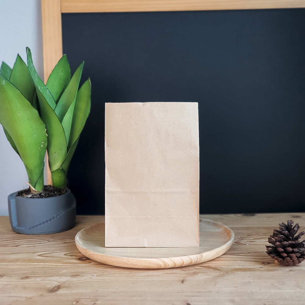 Goodboxpack, kraft bag, 5 x 9.5 inches, 100 pieces per pack | Makro PRO