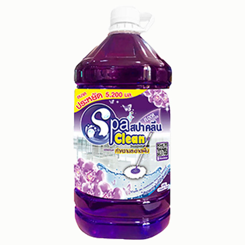 SPACLEAN Floor Cleaner Vanda 5.2 l | Makro PRO